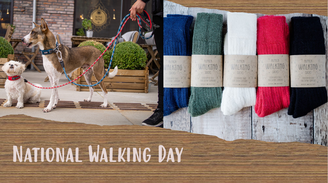 National walking day