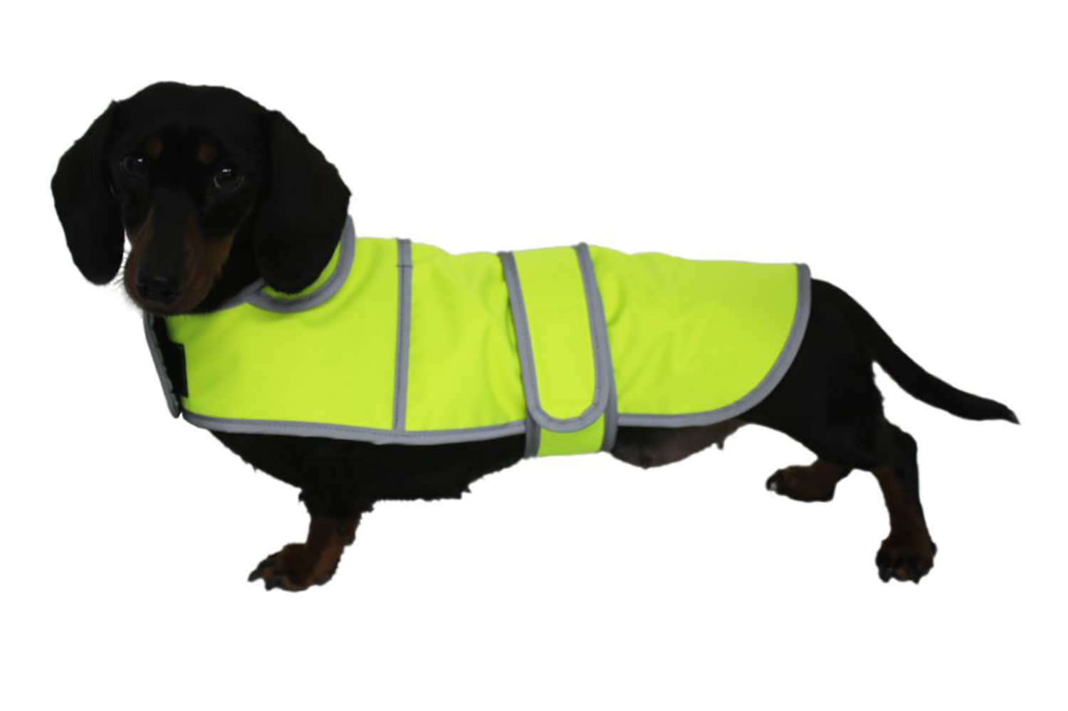 Hi-visibility Safety Dog Coat, designed specifically for the standard ...