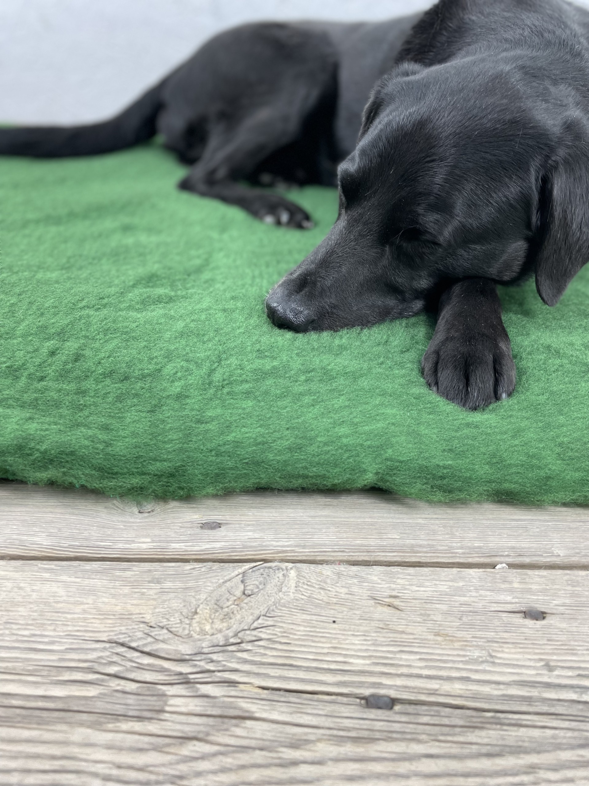 Plain Green Traditional vet bedding,vet bed cut in squares or rolls Dog ...