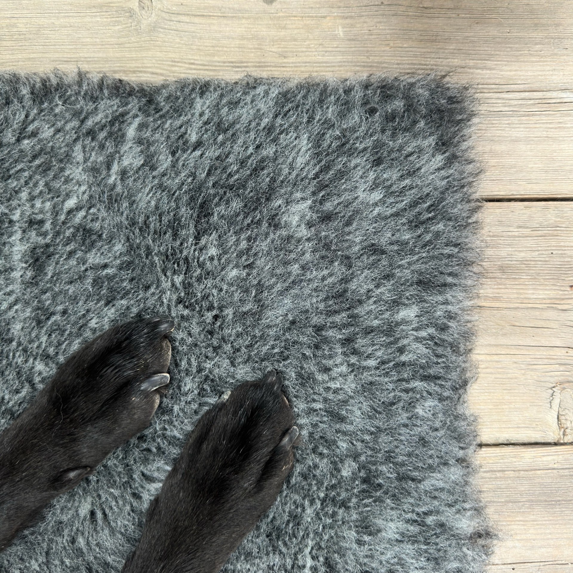 Grey 100% Wool Vet Bedding Non Slip Luxury Dog Mats 30mm Thick Pile