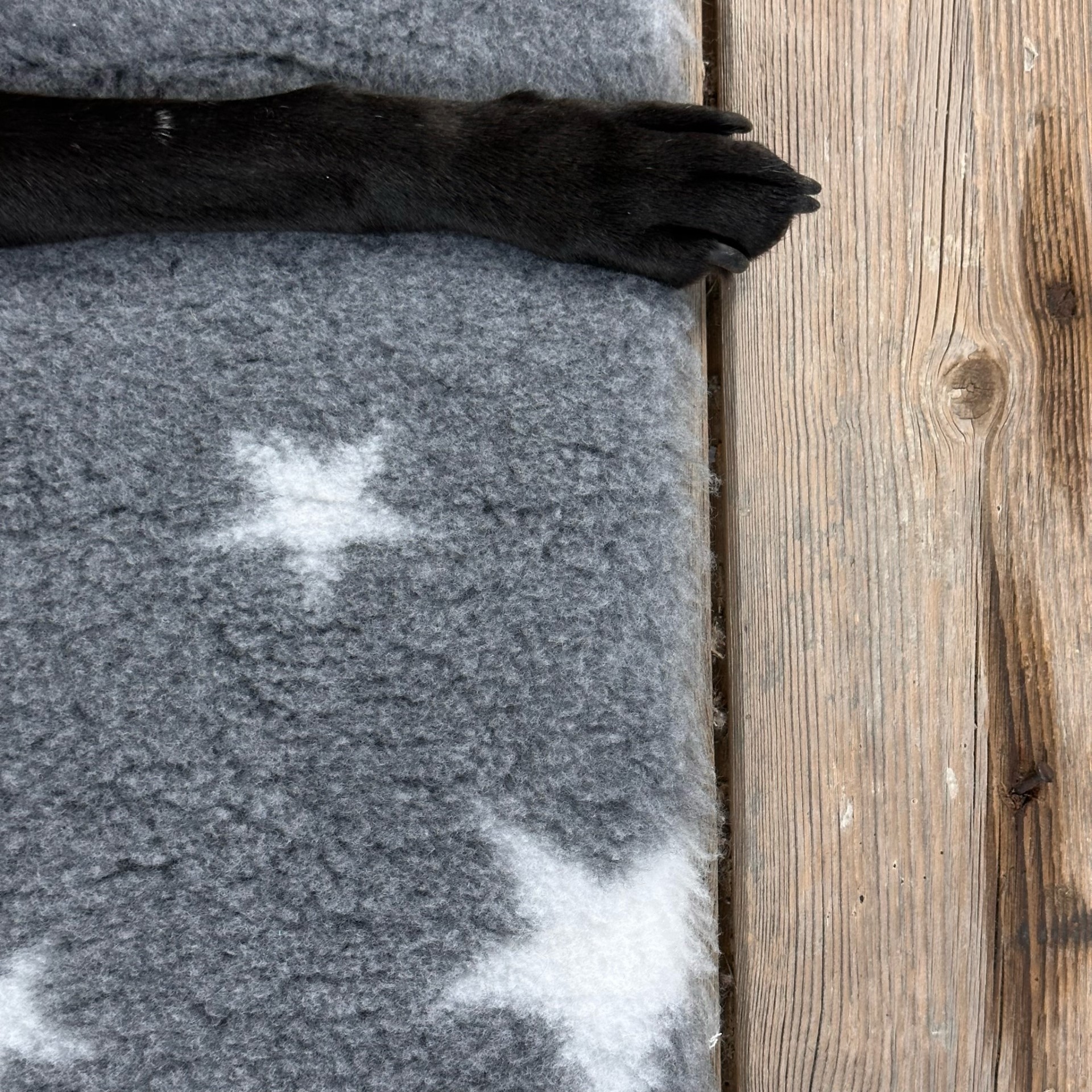 Grey White Star Vet Bedding non-slip back bed fleece Mats for Ved Bed ...