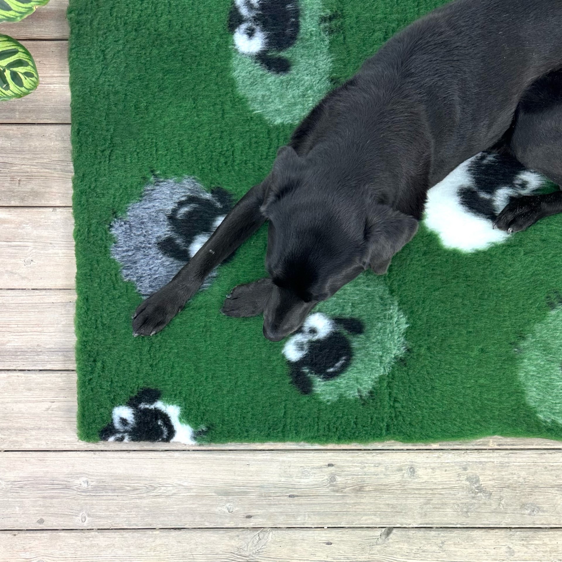 Sheep in Green Field Vet Bedding NON-SLIP ROLL WHELPING FLEECE DOG ...