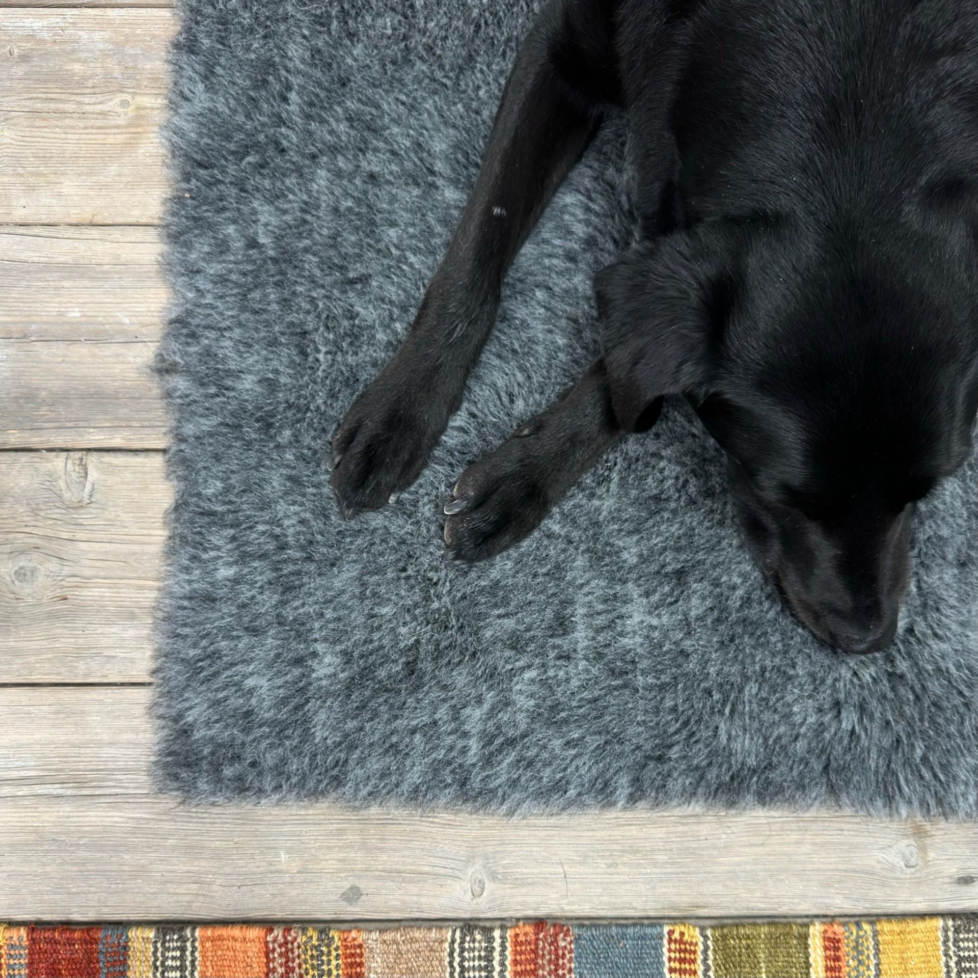 Vet Bed, Vet Bedding, High Grade VetBed rolls and cut to size. Uk Made ...