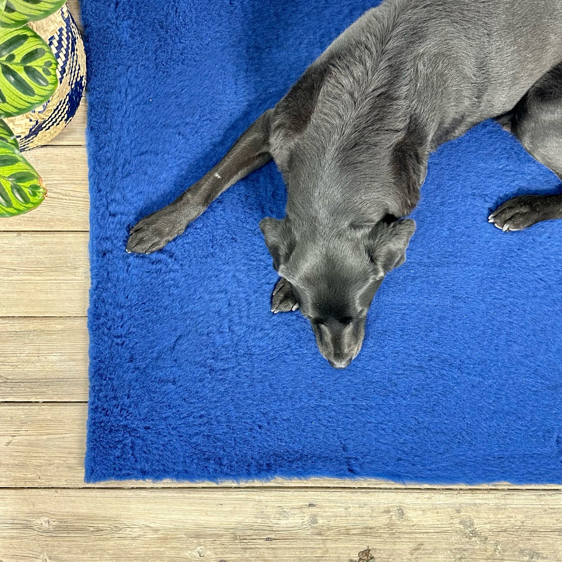 Vet Bed, Vet Bedding, High Grade VetBed rolls and cut to size. Uk Made ...